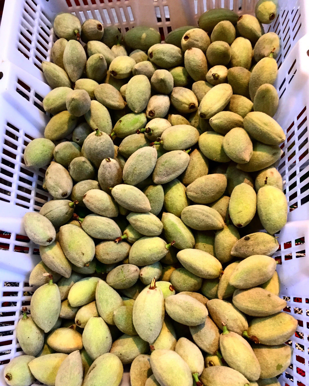 Fresh Green Almonds – SOS Chefs