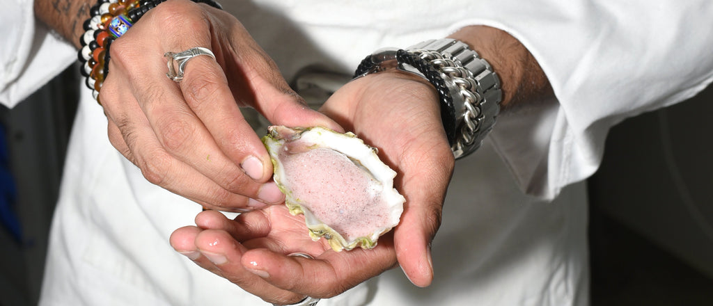 Technical Ingredients – SOS Chefs